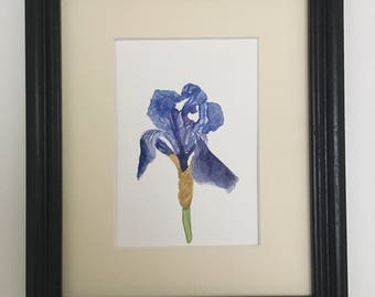 Iris Watercolor Print Abstract Eye Art Anatomy Art