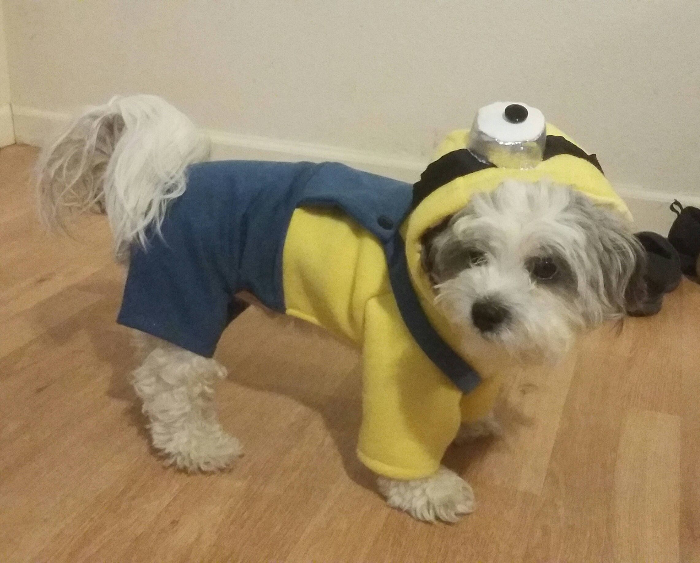 Minions Despicable Me Minion dog costume