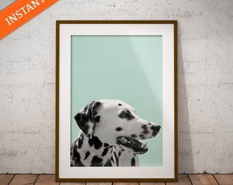 Dalmatian wall art | Etsy