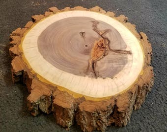 Black walnut slices | Etsy