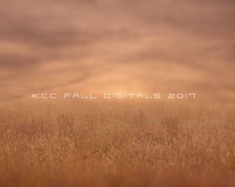 KCC Fall Digital Background/Backdrop Instant Download