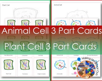 Printable Animal and Plant Cell Posters