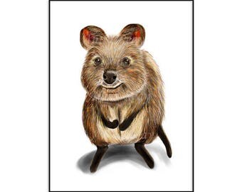 Quokka | Etsy