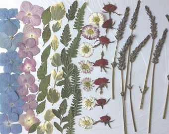 Pressed flower art | Etsy