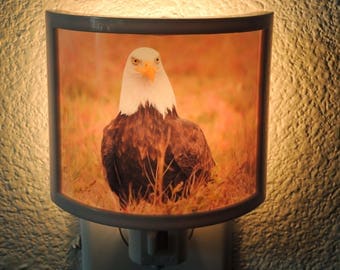 Eagle decor | Etsy