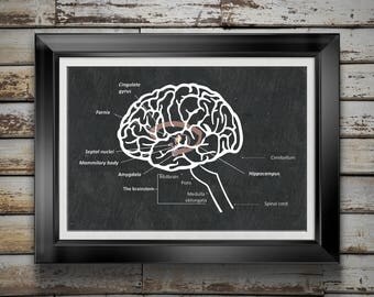 Psychiatrist gift | Etsy