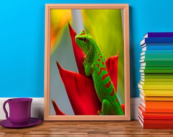 Gecko art | Etsy