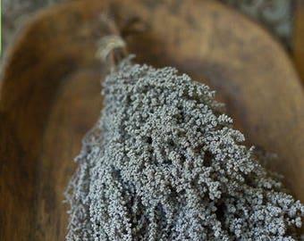 Preserved flowers | Etsy