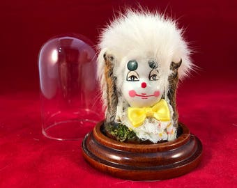 Taxidermy squirrel | Etsy