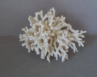 Natural coral | Etsy