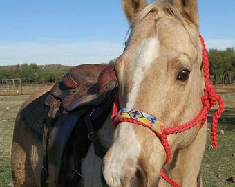 Mule tape halter | Etsy