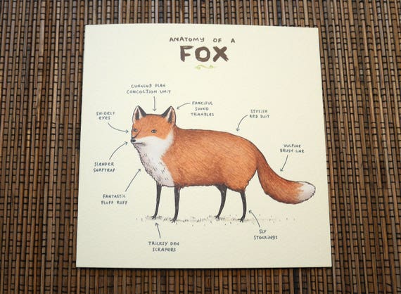 Anatomy Of A Fox Card