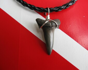 The Shark Tooth Shop by TheSharkToothShop on Etsy