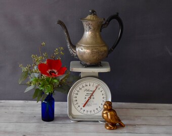 Silver plate teapot | Etsy