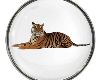 Tiger magnet | Etsy