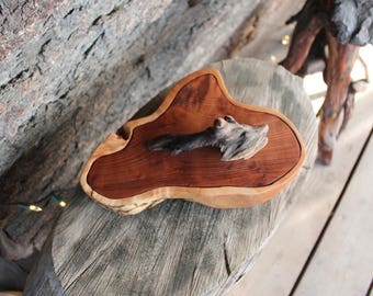 Burl wood box | Etsy