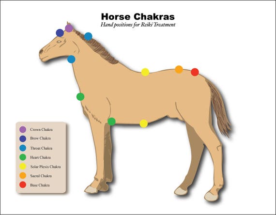 Horse Equine Chakra Printable Chart Reiki Hand Positions