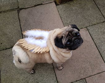 Pug with wings | Etsy