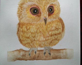 Oceana art print illustration mermaid and narwhal whimsical