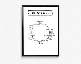 Science wall art | Etsy
