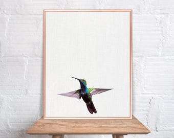 Hummingbird prints | Etsy