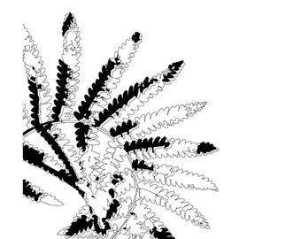 Fern print | Etsy