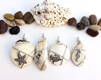 Real turtle shell | Etsy