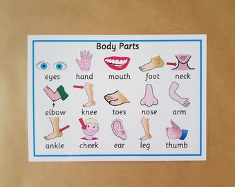 Body parts | Etsy