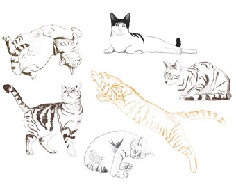 Cat pencil drawing | Etsy