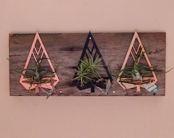 Air plant holder | Etsy