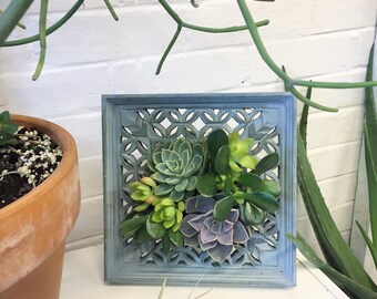 Succulent garden | Etsy