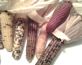 Selu Cherokee Native American Corn goddess 8x10 fine art print