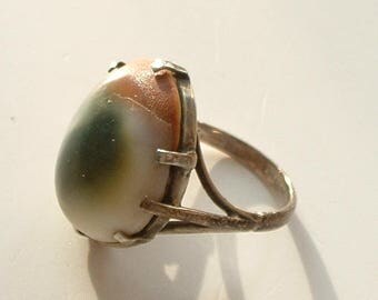 Operculum jewelry | Etsy