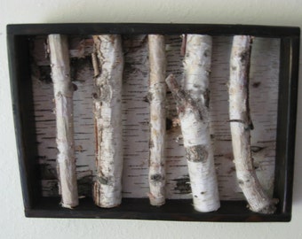 Birch poles | Etsy