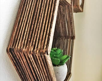 Succulent shelf | Etsy