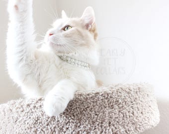 Pearl dog collar | Etsy