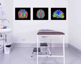 Human Brain Anatomy Card Brain Art Gift for Medical