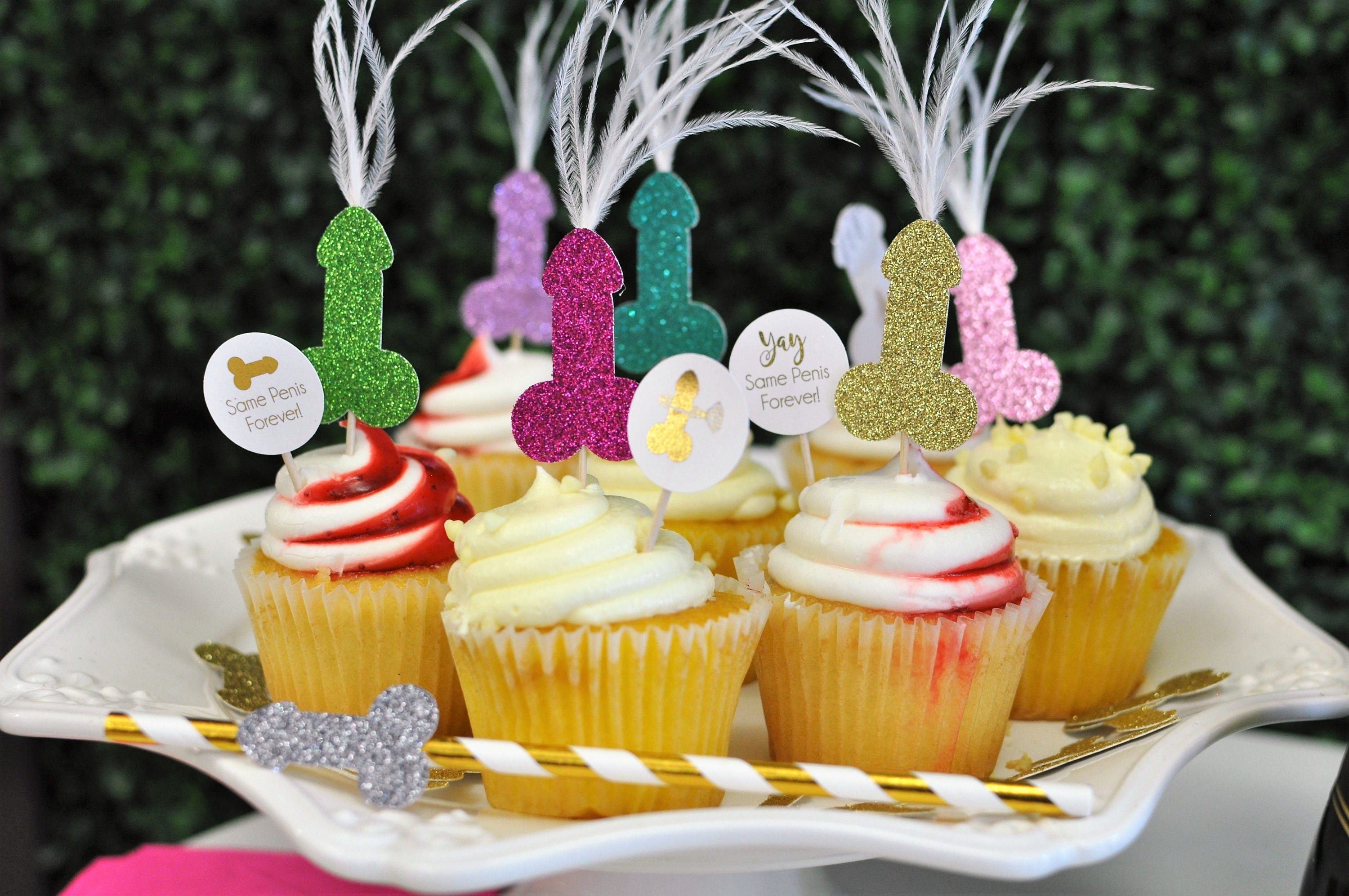Bachelorette Party Penis Cupcake Toppers Picks w/ Feathers