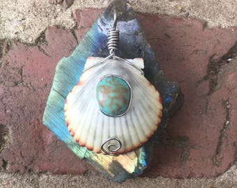 Turquoise seashells | Etsy