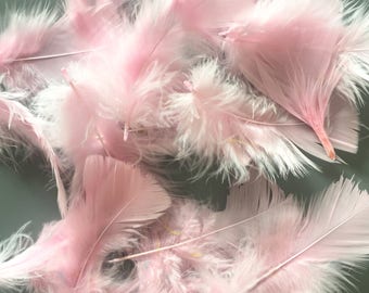 Bright Pink Feathers Small Feathers Supplies for Crafts
