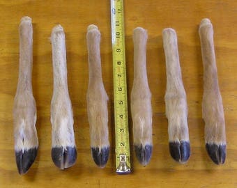 Deer legs | Etsy