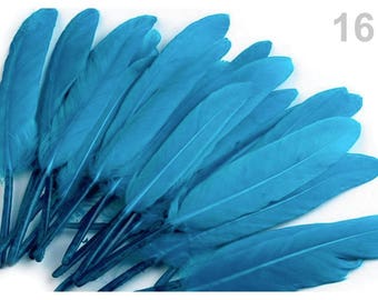 Duck Feathers 1 Pack PEACOCK GREEN Duck Cochettes Loose