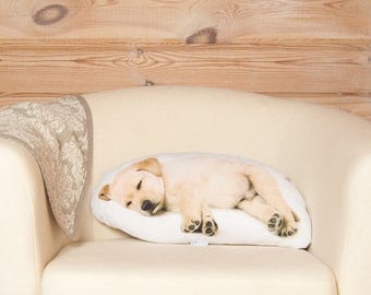 Labrador pillow | Etsy