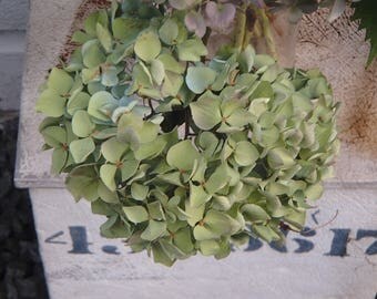 Dried hydrangeas | Etsy