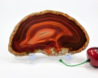 Agate slice | Etsy