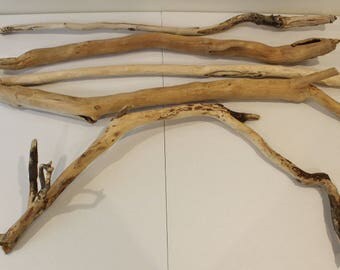 Driftwood | Etsy