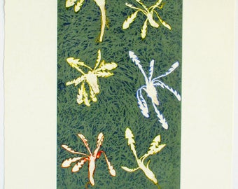 Eco inspired printmaking. Etching drypoint by LynnBaileyPrintmaker