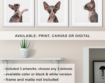 Sphynx cat art | Etsy