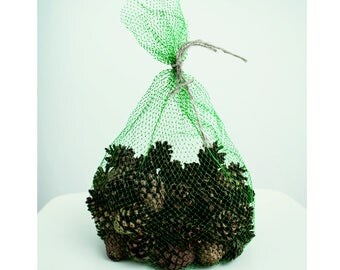 Pine cone decoration | Etsy