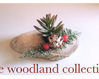 Succulent decor | Etsy